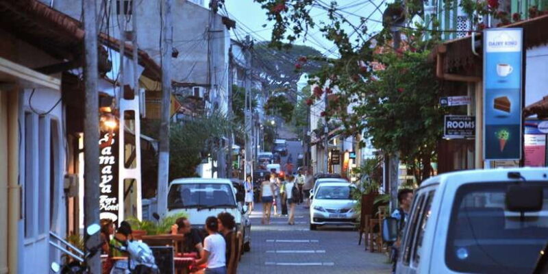 Kalutara: Turtle Hatchery Visit, Boat Safari, and Galle Tour - What You Can Expect: A Day Packed with Authentic Encounters