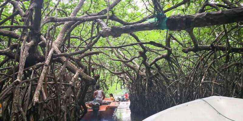 Kalutara: Turtle Hatchery Visit, Boat Safari, and Galle Tour - Final Thoughts: Who Will Love This Tour?