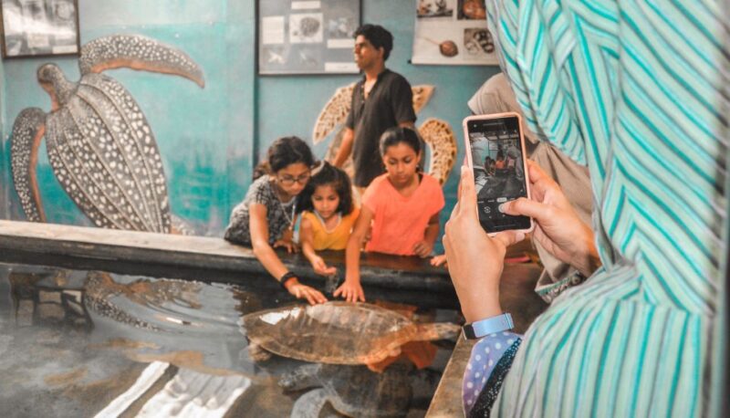 Kalutara: Turtle Hatchery Visit, Boat Safari, and Galle Tour - FAQ