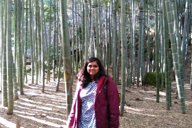 Kamakura 4hr Private Trip With Government-Licensed Guide - Guest Experiences