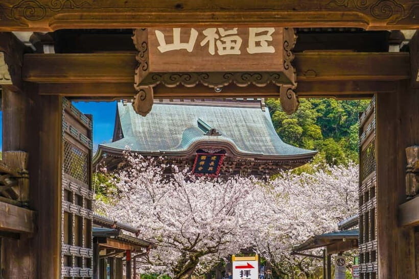 Kamakura: A Journey Through Medieval Japan (Walking Tour) - Logistics & Practicalities