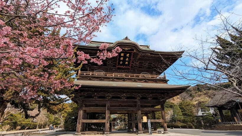 Kamakura: A Journey Through Medieval Japan (Walking Tour) - Final Thoughts: Who Should Take This Tour?