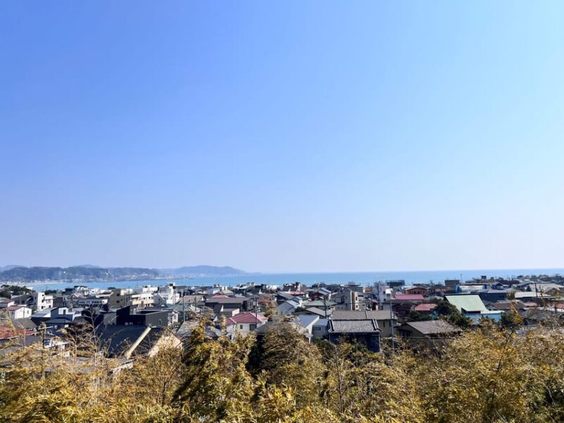 Kamakura and Enoshima: Private Guided Day Tour With Vehicle - Key Points