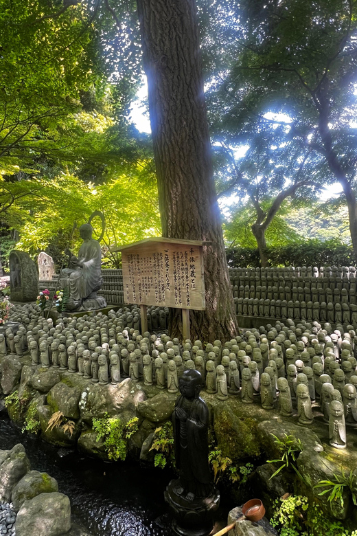 Kamakura and Enoshima: Private Guided Day Tour With Vehicle - Hase-dera Temple and Gardens