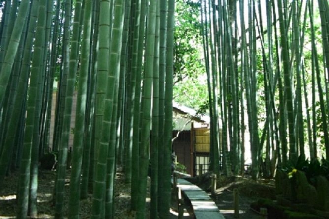Kamakura Bamboo Forest and Great Buddha Private Tour - Health Recommendations
