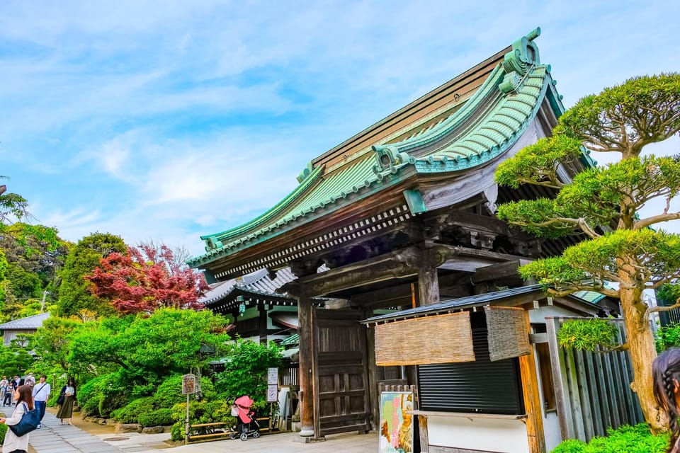 Kamakura: Best Guided Day Tour With Tea Ceremony - Hasedera Temple