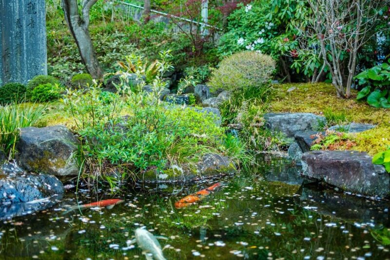 Kamakura: Best Guided Day Tour With Tea Ceremony - Hokokuji Temple