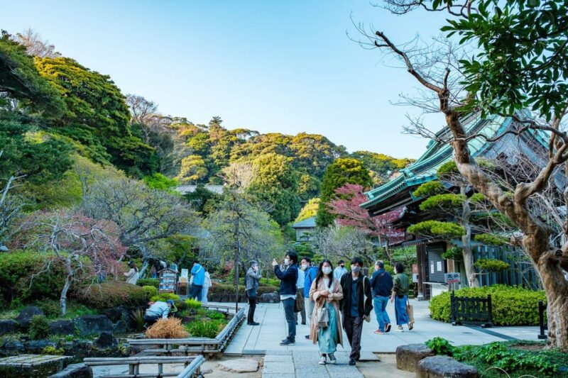 Kamakura: Best Guided Day Tour With Tea Ceremony - Tsurugaoka Hachimangu Shrine