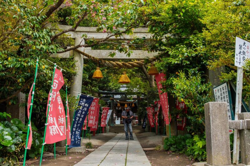 Kamakura: Best Guided Day Tour With Tea Ceremony - Included Services