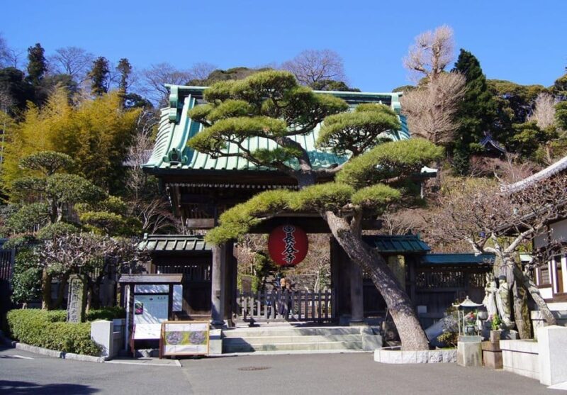 Kamakura & Enoshima 1 Day Bus Tour From Tokyo and Yokohama - Key Points