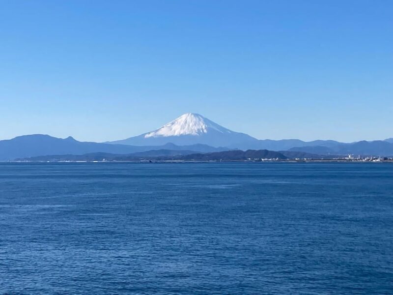 Kamakura & Enoshima 1 Day Bus Tour From Tokyo and Yokohama - Departure and Pickup Locations