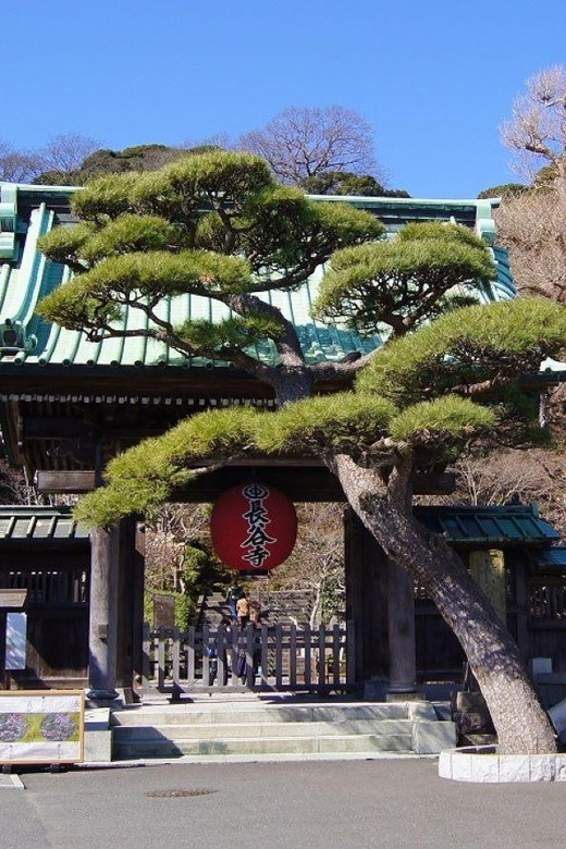 Kamakura & Enoshima 1 Day Bus Tour From Tokyo and Yokohama - Lunch Option and Drop-off Times