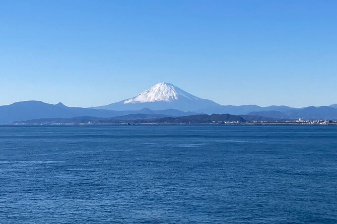 Kamakura & Enoshima 1 Day Bus Tour From Tokyo and Yokohama - Traveler Experiences and Feedback