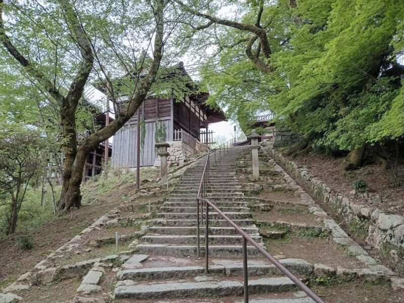 Kamakura Half Day Tour With a Local Expert Guide - Scenic Views and Authentic Japanese Cuisine