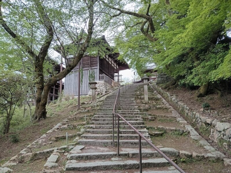 Kamakura Half Day Tour With a Local Expert Guide - Customer Feedback and Ratings