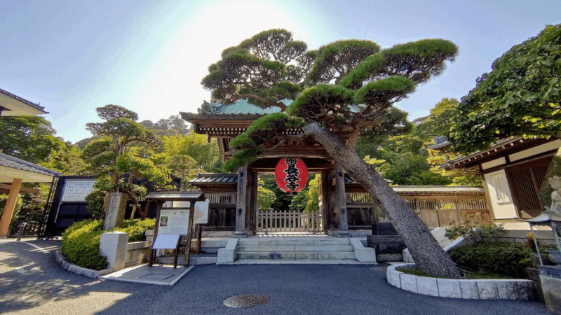 Kamakura Half Day Tour With a Local Expert Guide - Frequently Asked Questions