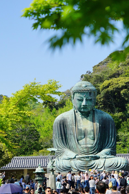 Kamakura Half Day Walking Tour With Local Experience - Exploring Hase-dera Temple