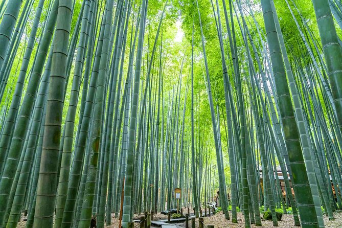 Kamakura Heritage Bike or Walk Tour With Ex-Rickshaw Guide - Booking Details