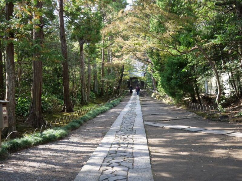 Kamakura Historical Walking Tour With the Great Buddha - What to Expect