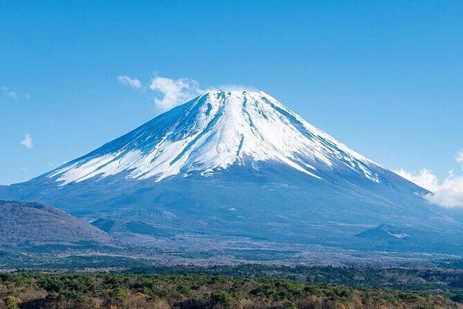 Kamakura Kotoku-in Temple and Enoshima Day Tour from Tokyo - Who Should Consider This Tour?