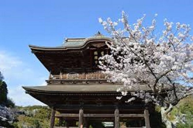 Kamakura Private Custom Tour - Highlights of the Tour
