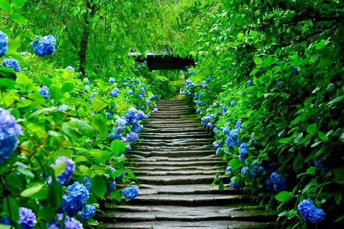 Kamakura Private Custom Tour - Accessibility and Fitness Requirements