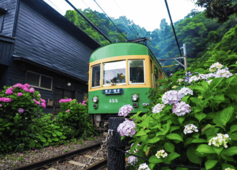 Kamakura Private Custom Tour With Local Guide - Inclusions
