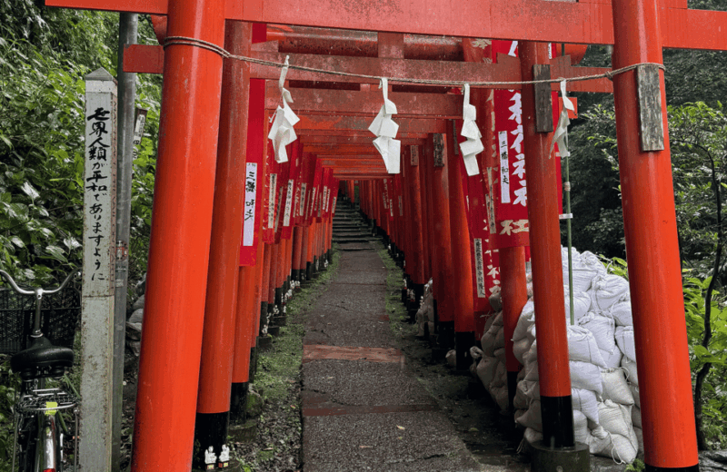 Kamakura Private Custom Tour With Local Guide - Discover Iconic Landmarks