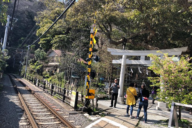 Kamakura Scenic Bike Tour - The Sum Up