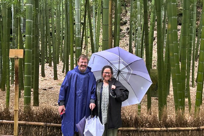 Kamakura Tour, From/To Tokyo, Yokohama, TDR, Narita, 2- 12 Guests - Accessibility and Infant Seats