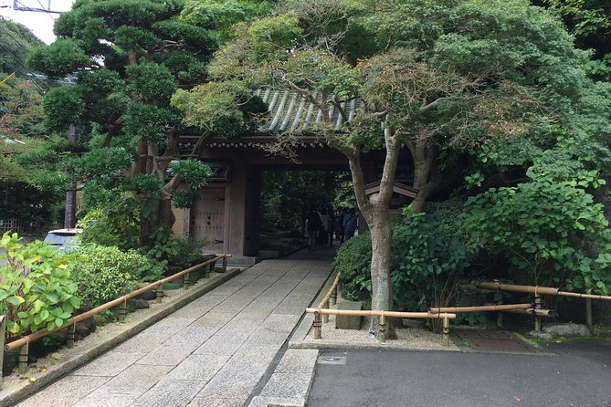 Kamakura Walking Tour With Local Guide Including Hokokuji Temple - Inclusions and Costs