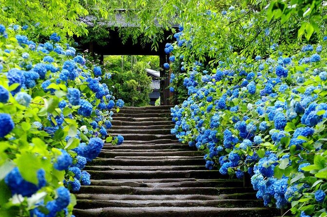 Kamakura & Yokohama One-Day Tour With English Driver - Inclusions