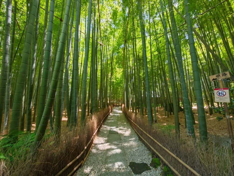 Kamakura Zen: Great Buddha, Nature, Bamboo & Samurai Culture - Key Points
