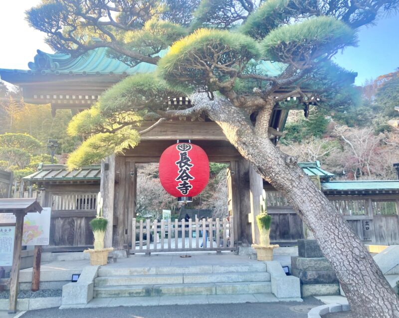 Kamakura:Guided Day Tour With Great Buddha and Bamboo Temple - Frequently Asked Questions
