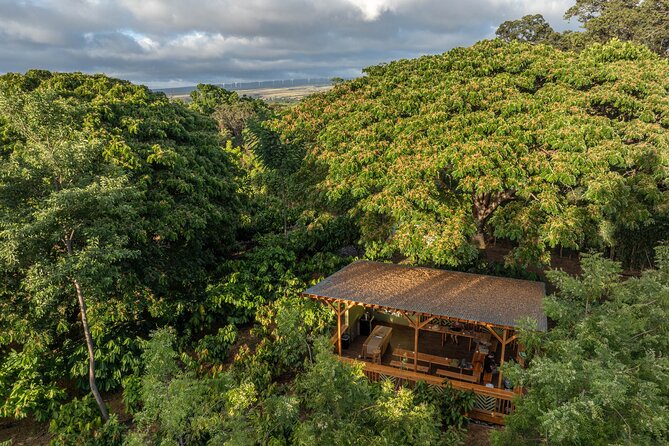 Kamananui Cacao Orchard Tour - Traveler Reviews and Experiences