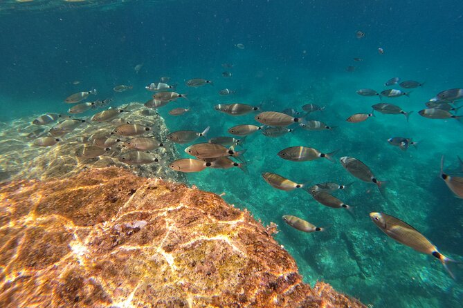 Kamenjak Nature Park: Kayak Tour With Snorkeling & Cave Exploring - Uncovering Hidden Caves and Grottos