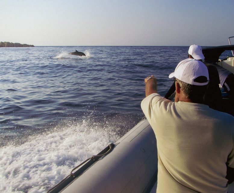 Kamiros Skala : Marine Life Experience & Alimia Island - The Sum Up: Who Will Love This Tour?