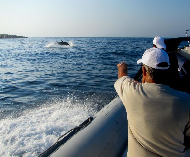 Kamiros Skala: Marine Life Experience by Boat - Kamiros Skala: Marine Life Experience by Boat