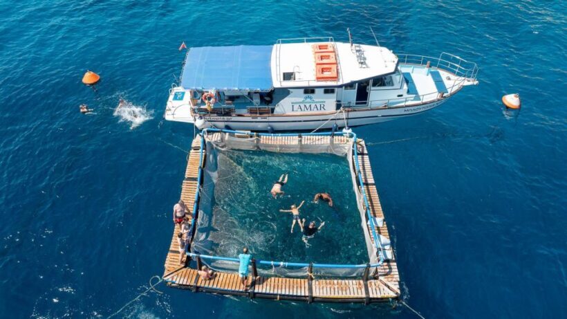 Kamiros Skala: Marine Life Experience by Boat - What Makes This Tour Special?