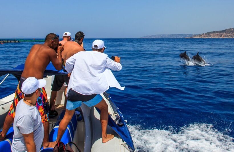 Kamiros Skala: Marine Life Experience by Boat - The Itinerary: An In-Depth Look