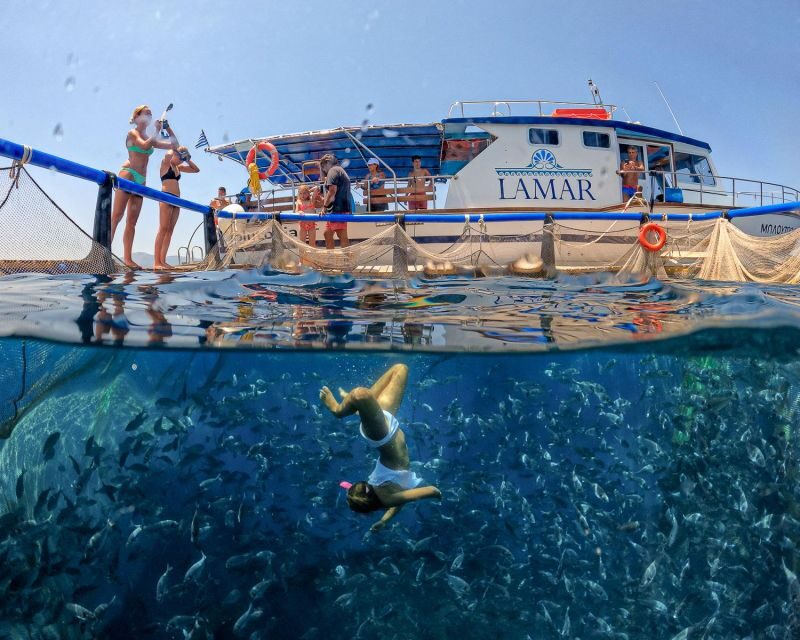 Kamiros Skala: Marine Life Experience by Boat - Authenticity and Traveler Experiences