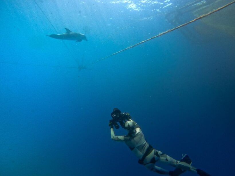 Kamiros Skala: Marine Life Experience by Boat - FAQ