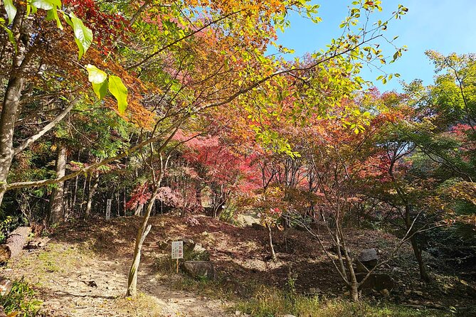 KAMOSU TABI The Sake Capital Saijo Wellness Tour - Physical and Accessibility Requirements