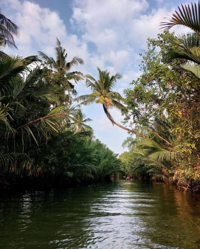 Kampot: Countryside, Pepper Farm and Kayak Tour with Lunch - Cave Exploration and the Hindu Temple
