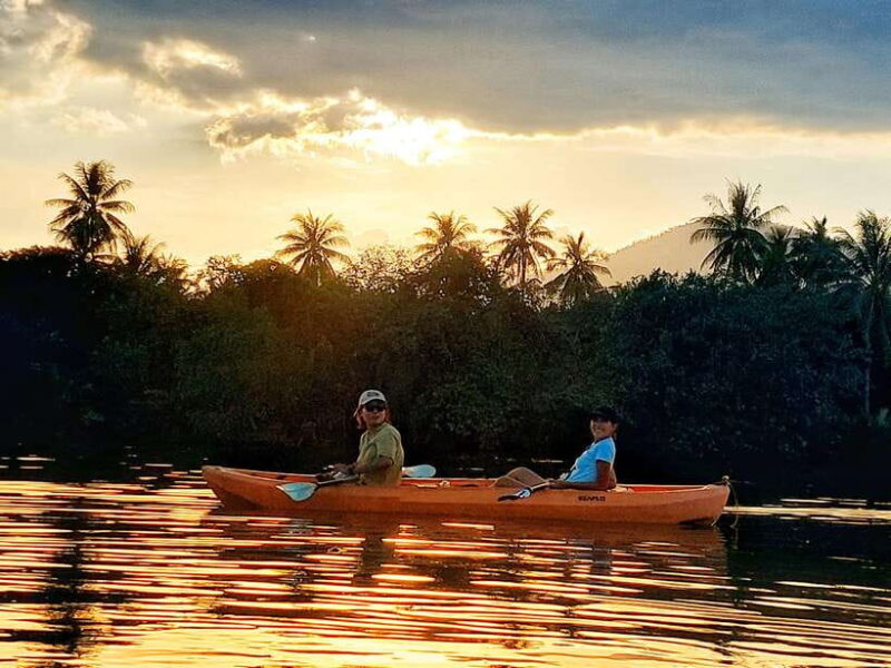 Kampot: Countryside, Pepper Farm and Kayak Tour with Lunch - Authentic Experiences and Positive Feedback