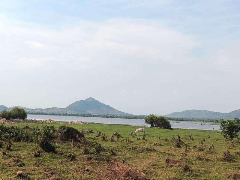 Kampot Countryside tour include Pepper farm by TukTuk - What’s Included & What to Bring