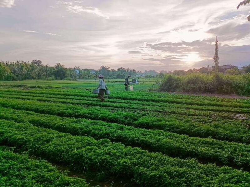 Kampot Countryside tour include Pepper farm by TukTuk - Practical Tips and Considerations