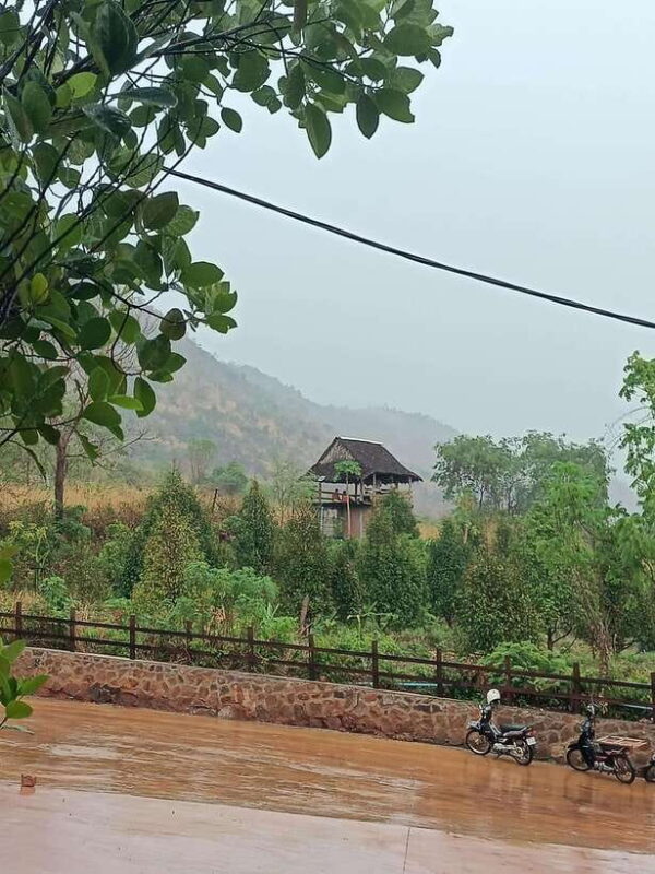Kampot: Full-day Countryside Tour with Pepper Farm and Kep - Who Will Love This Tour?