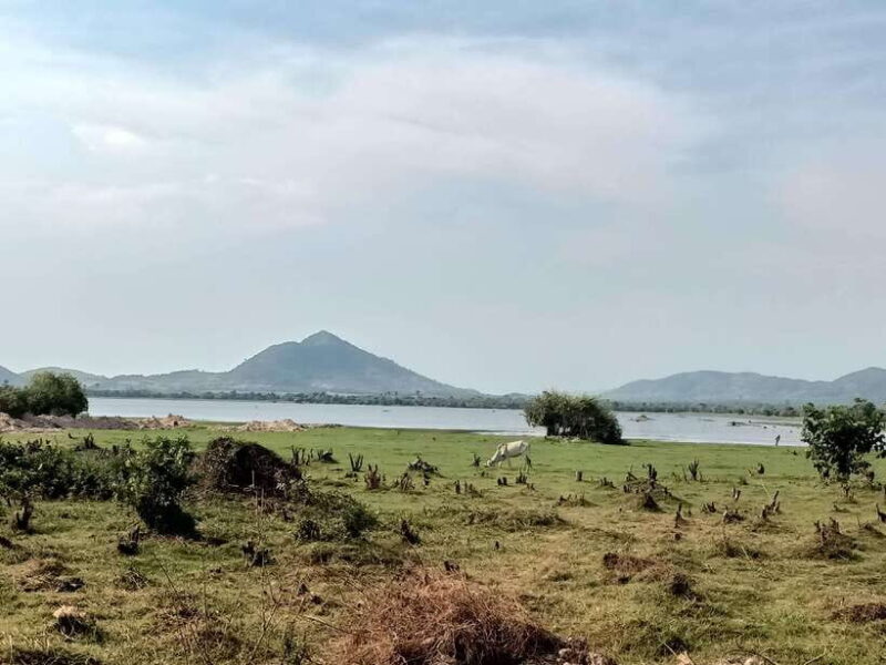 Kampot: Full-day Countryside Tour with Pepper Farm and Kep - Final Thoughts