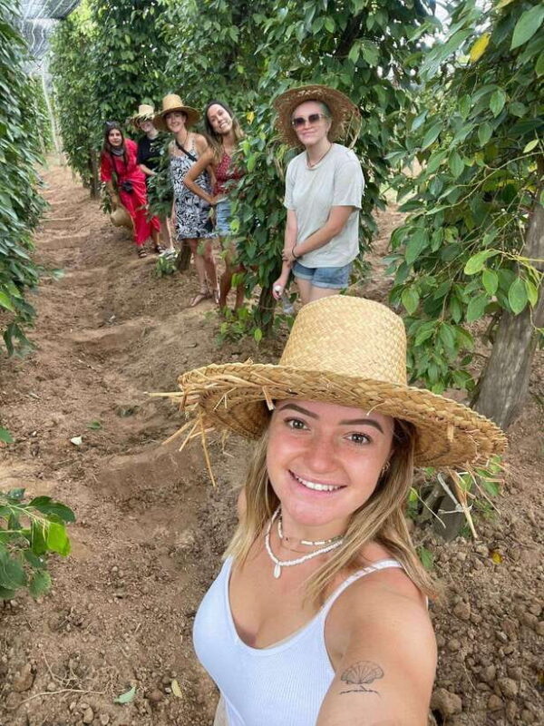 Kampot, Kep, Paper Farm, Old French Architectures - Key Points